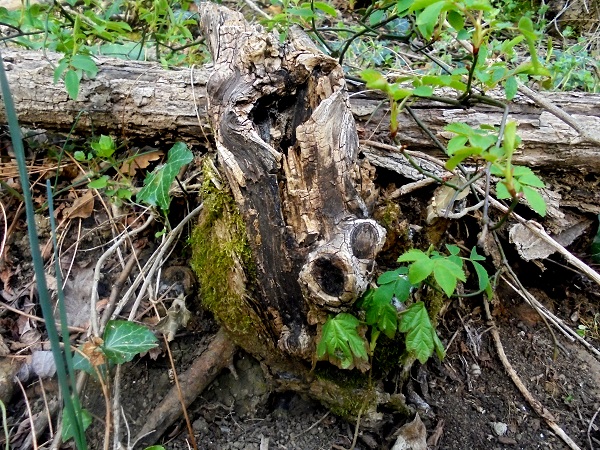 Samoizolacija-Toco1980foto - tišina postojanja - Blog.hr