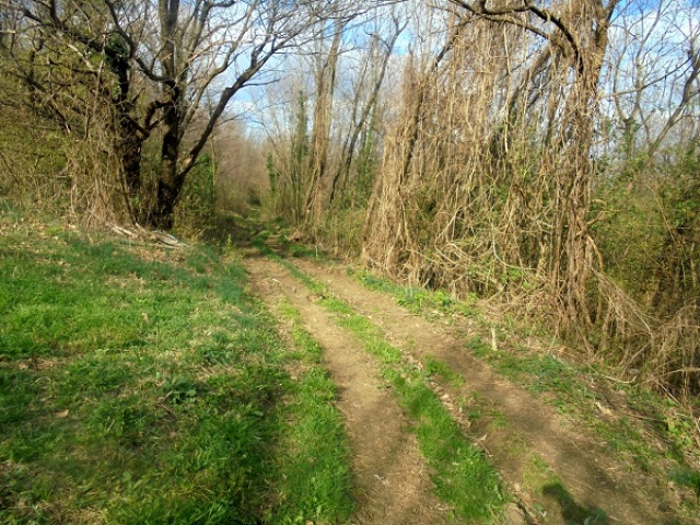 Samoizolacija-Toco1980foto - tišina postojanja - Blog.hr