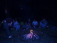 ljubav je govno a ljudi muhe