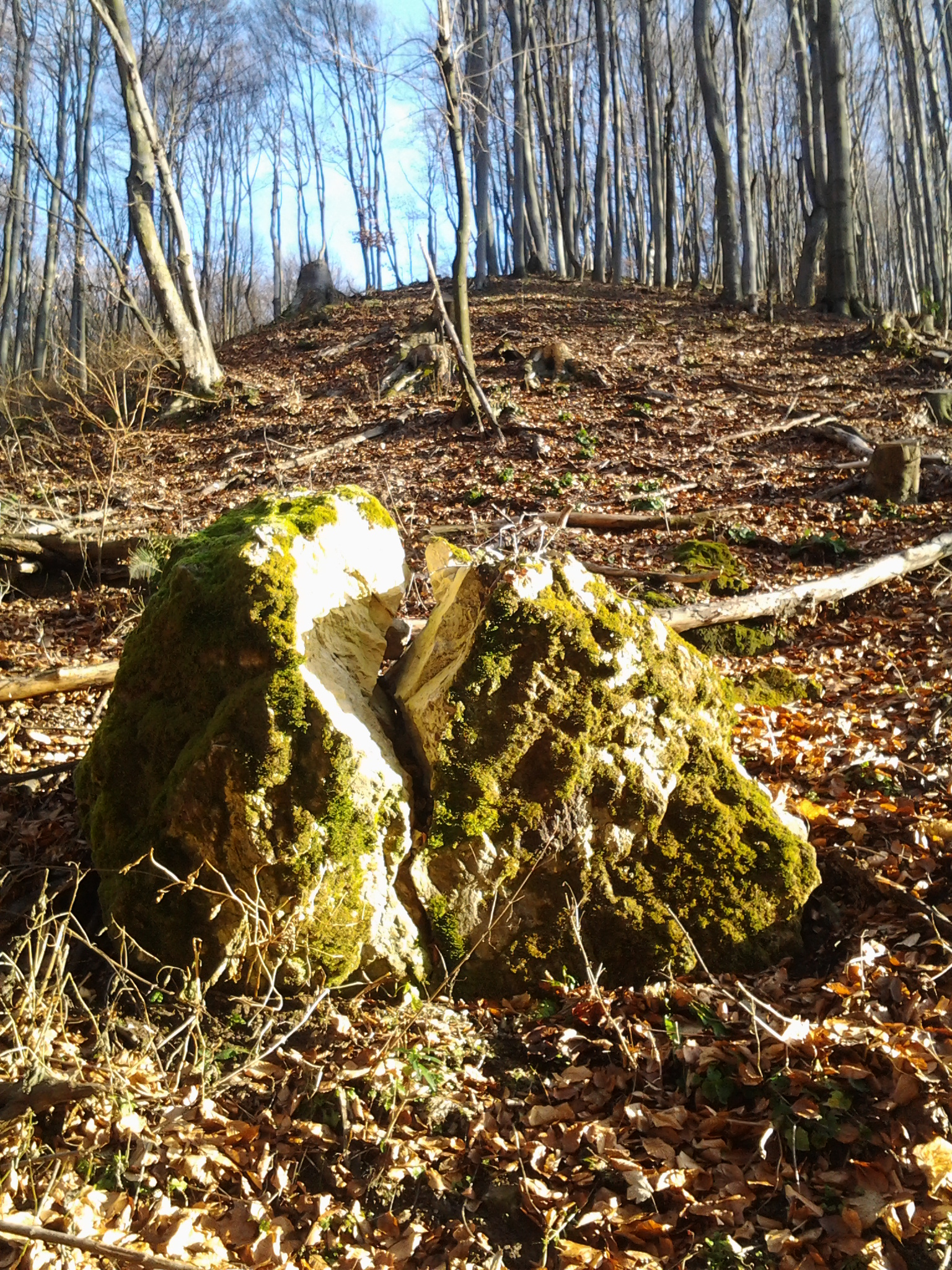 U šetnji I.dio - jelenski blog - Blog.hr